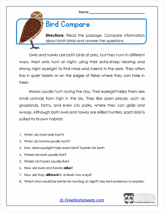 Grade 3 Reading Passage Worksheets - FreeWorksheets.Com