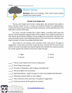 Stormy Senses Worksheet - FreeWorksheets.Com