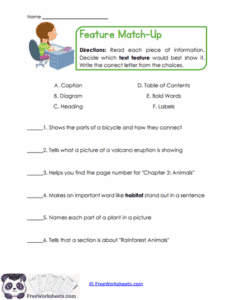 Text Features Worksheets | Grade 4 Reading PDFs